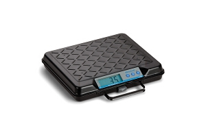 Avery Weigh-Tronix / Brecknell GP100 / GP250 Electronic Bench Scale ...