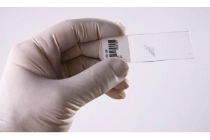 Honeywell INtegrity Slide Labels Barcode Label | Legacy Technology Services